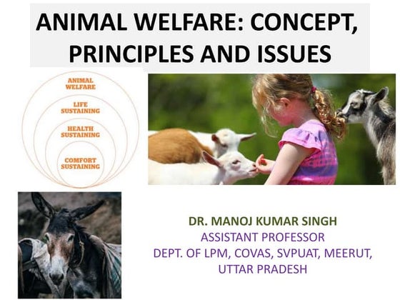 Animal raising | PPTX