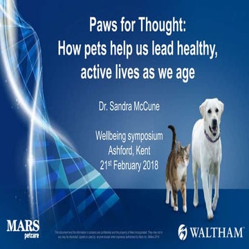 Paws for Thought: How pets help us lead healthy, active lives as we age ...