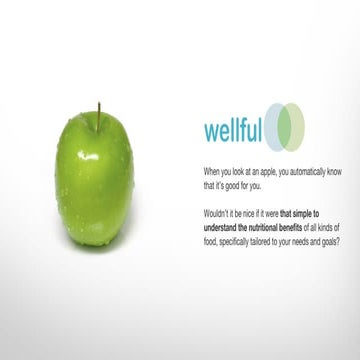 Wellful: A Fjord Incubator Project | PPT