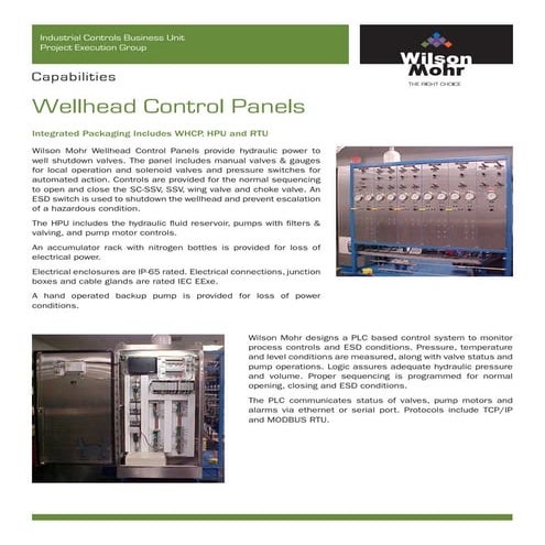 Wellhead control panels | PDF