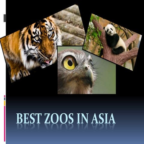 Best Zoos in Asia | PPTX