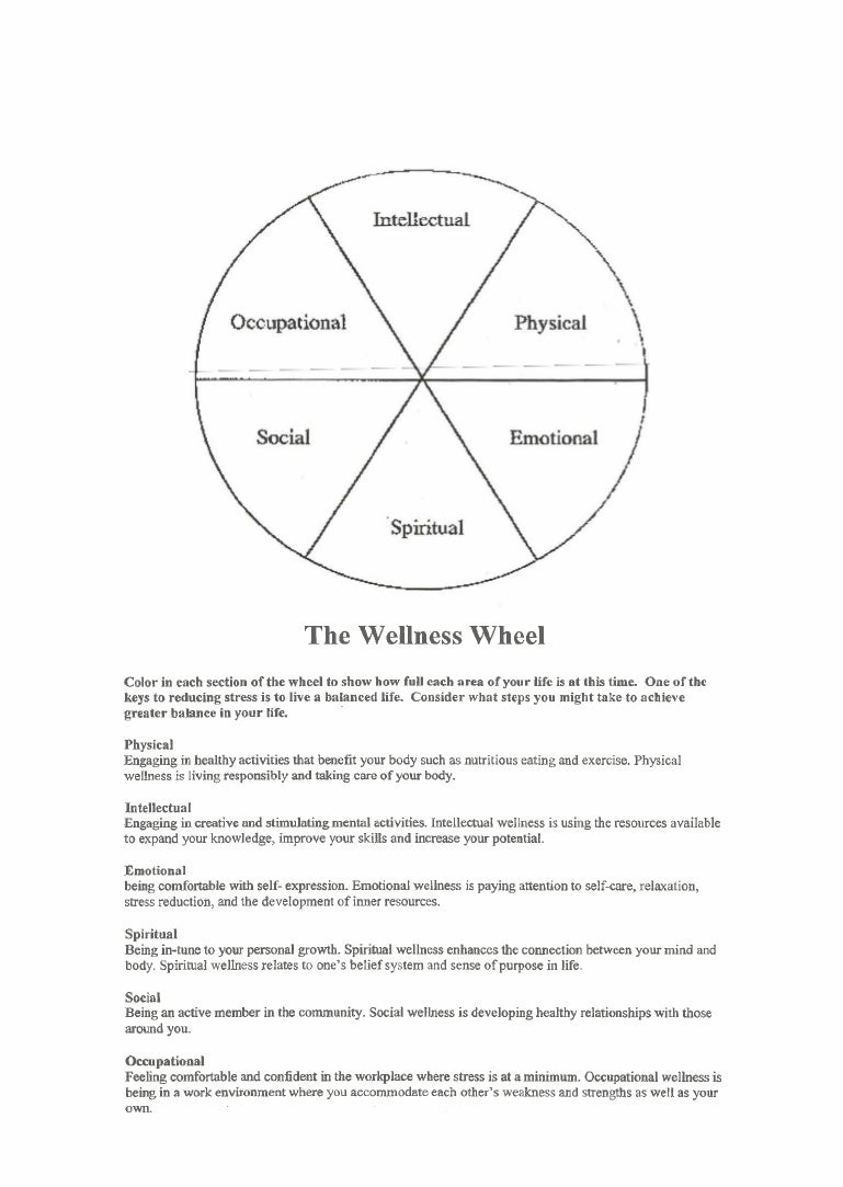 Wellness wheel