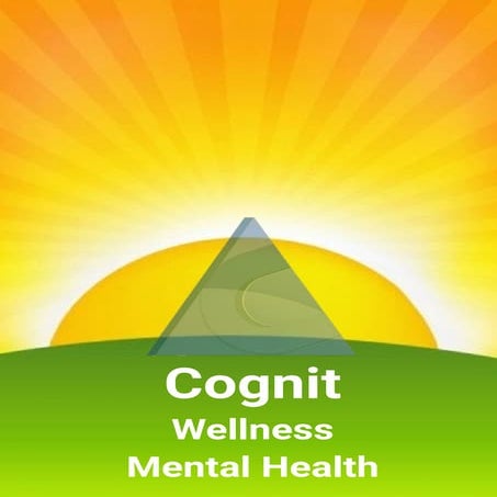 Wellness Workbook - Mental Health (FREE) | PDF