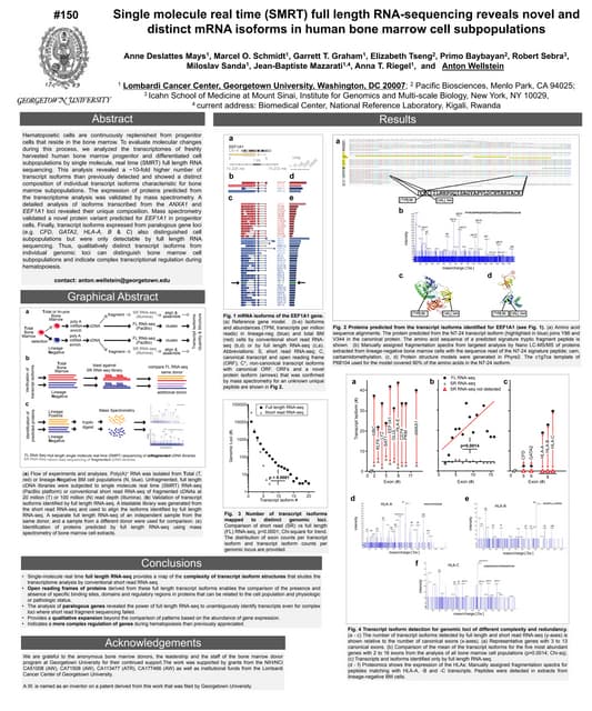 Ashg poster sp_compressed | PDF