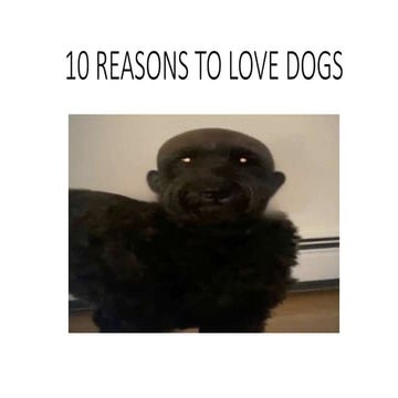 Top 10 Reasons To Love Dogs Pptx