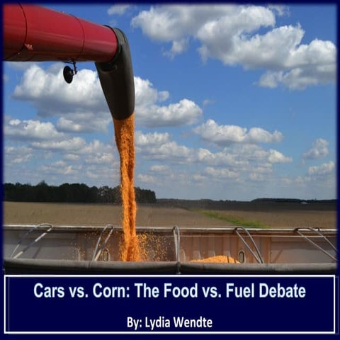 Cars vs. Corn (The Food vs. Fuel Debate) | PPT | Agriculture | Industries