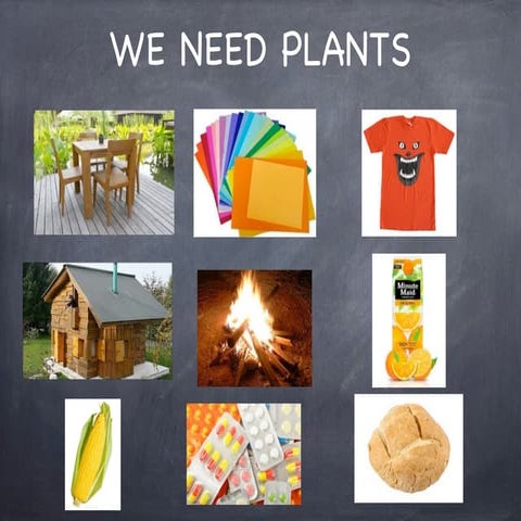 We need plants | PPT