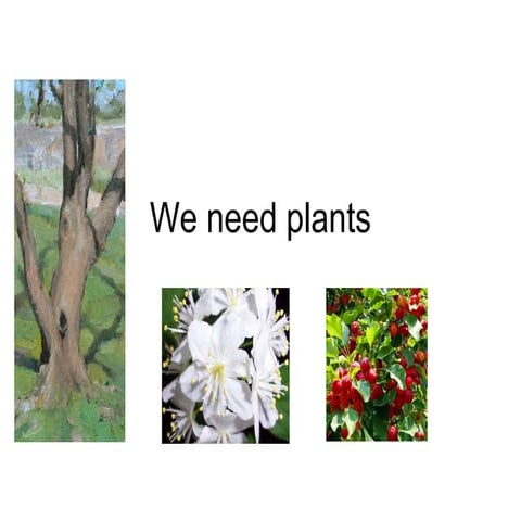 We Need Plants And Animals | PPT