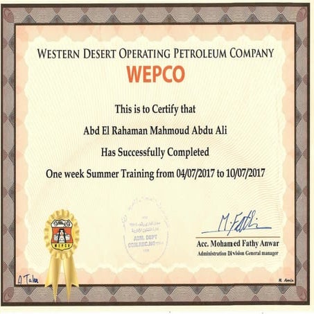 WEPCO Summer Training Certificate I 2017 | PDF