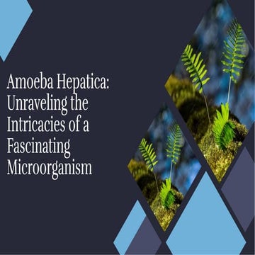 wepik-amoeba-hepatica-unraveling-the-intricacies-of-a-fascinating-microorganism-202312181.pdf