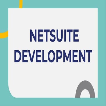 Efficiency and growth mastering netsuite development | PDF