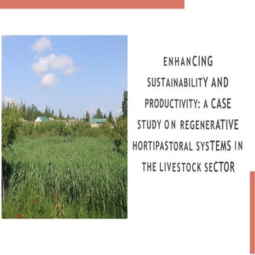 Enhancing-sustainability-and-productivity-a-case-study-on-regenerative ...