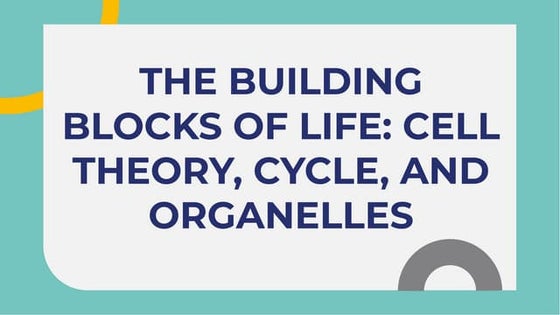 Human Cell The Building Blocks of Life on Slideshare by Raj Kumar ...