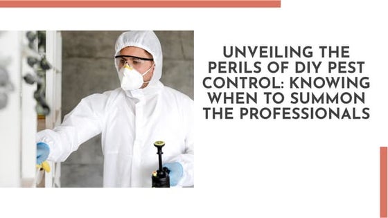 The Pest Professionals | PPTX