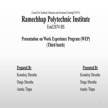 WEP presentation.pdf for the students who want sample | PDF