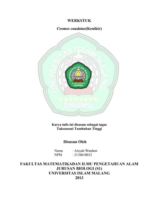 Sel epitel pada permukaan pipi bagian dalam | DOC