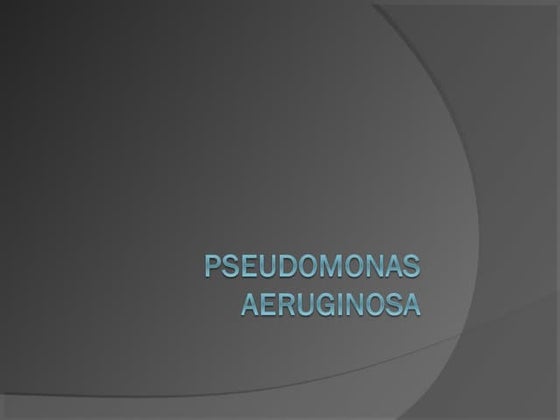 Project Reference - Paul Chartier | PDF