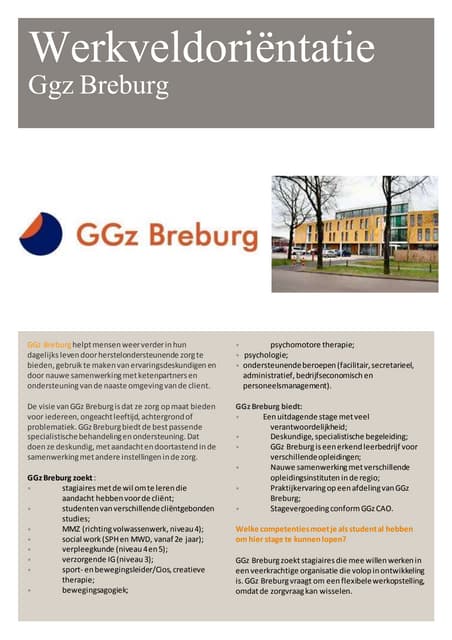 Werkveld oriëntatie GGz Breburg | DOCX