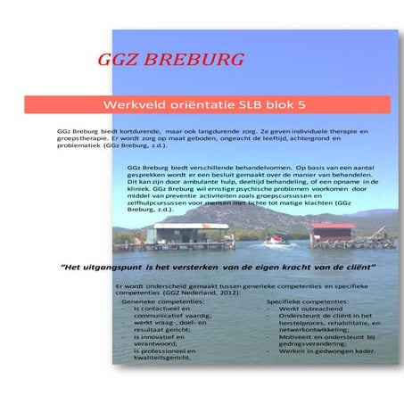 Werkveld oriëntatie GGz Breburg | PDF
