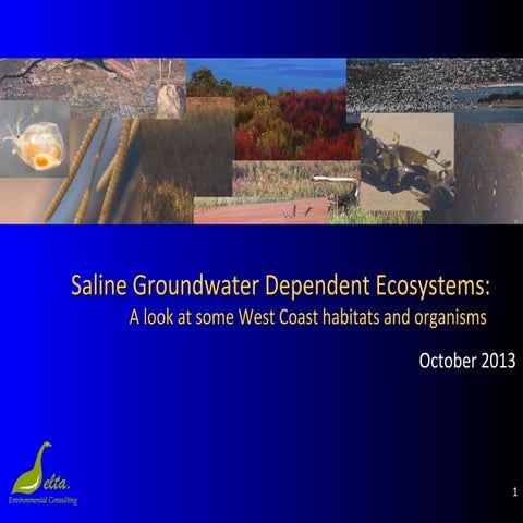 Saline Groundwater Dependent Ecosystems, Eyre Peninsula, South ...
