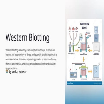 Understanding the Western-Blotting technology | PPTX