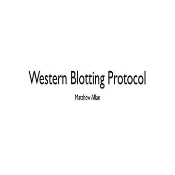 Western-Blotting-Protocol (STEP BY STEP).pptx