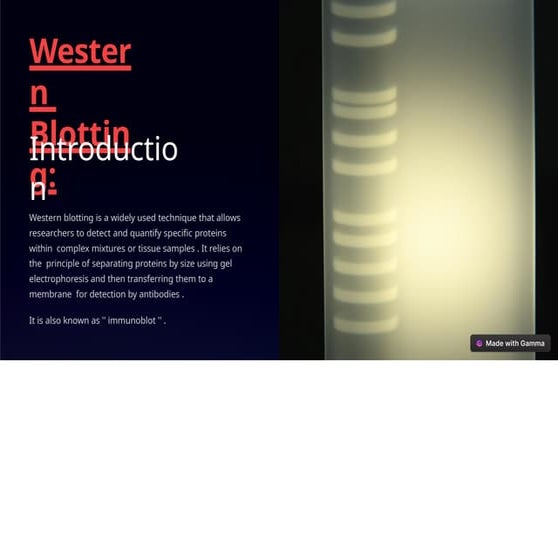 Western-Blotting presentation (2) (1).pptx