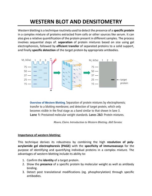 Special Investigation Techniques | PPT