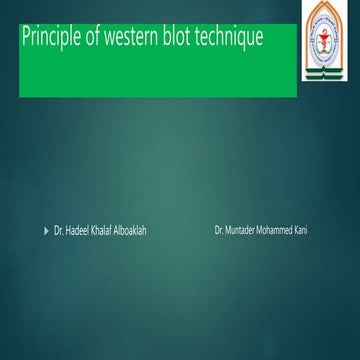Western blot principles [day1) | PPT