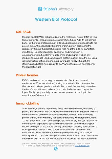 Sandwich ELISA Protocol | PPTX | Infectious Diseases | Diseases and ...