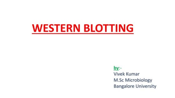 Western Blotting Technique | PPTX | Chemistry | Science
