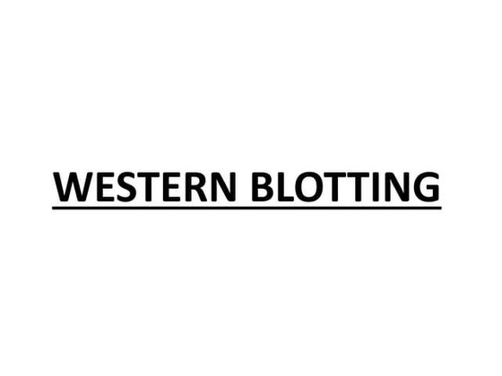 Western Blotting Technique | PPTX | Chemistry | Science