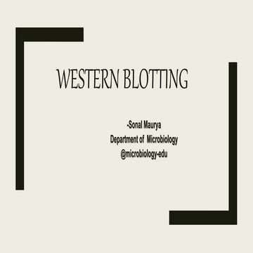 Western blotting | PPTX | Chemistry | Science