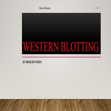 western Blotting test and classification.pptx