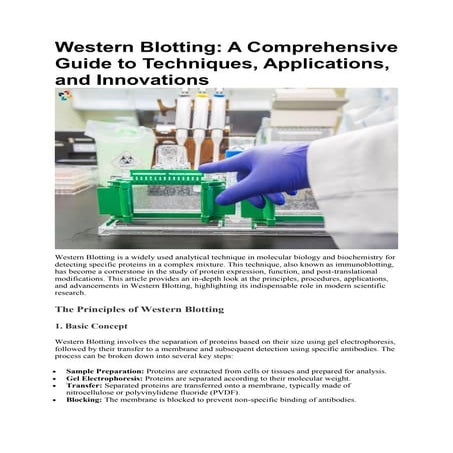 Western Blotting: Techniques, Applications, and Innovations | The ...