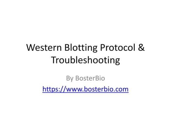 Immunohistochemistry (IHC) Protocol | PPT