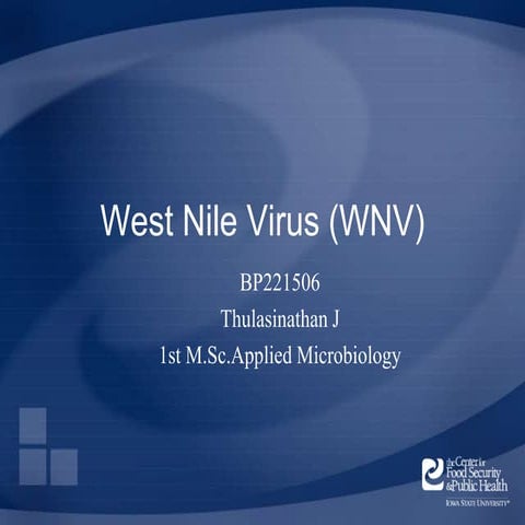 West Nile virus.ppt