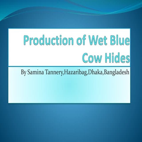 Wet blue production of cow hides | PPTX