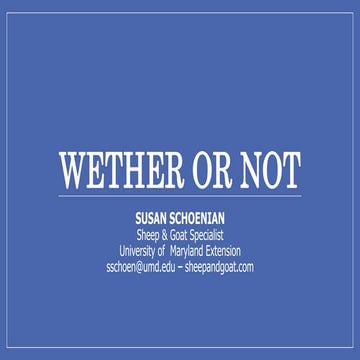 Wether or not | PPTX