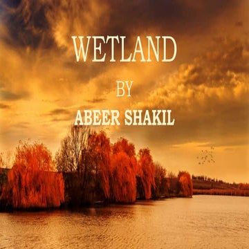 Wetland | PPTX