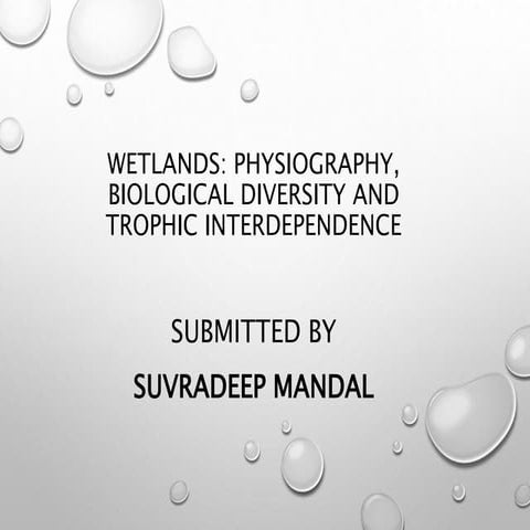 Wetlands: physiography, biological diversity and trophic ...
