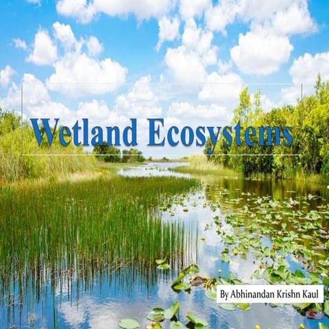 Wetland Ecosystems | PPT