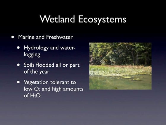 Wetlands | PPT