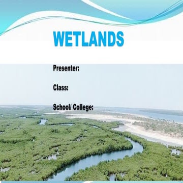 Wetland | PPTX