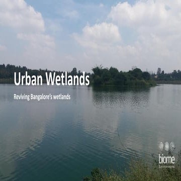Wetland | PPTX