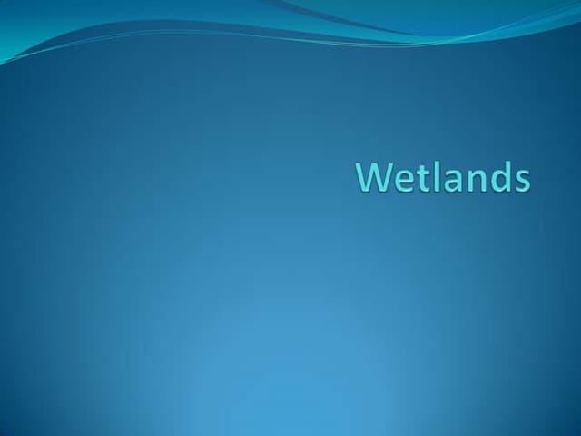 Wetland Ecosystems | PPTX