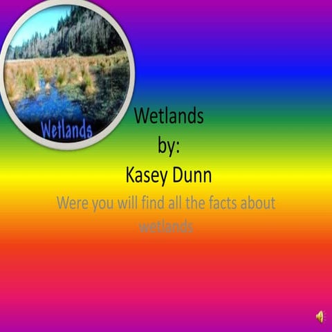 Wetlands | PPTX
