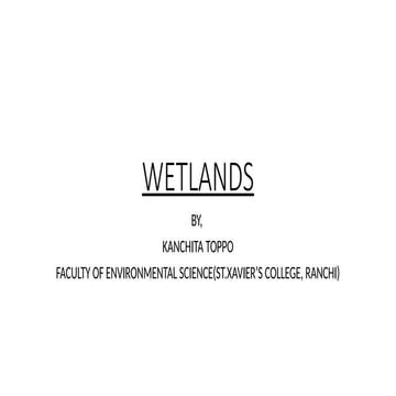 Geography Landforms WETLANDS First Year 2025 | PPTX