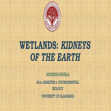 WETLANDS-Kidneys of the Earth By- ANIMESH SHUKLA, University of ...