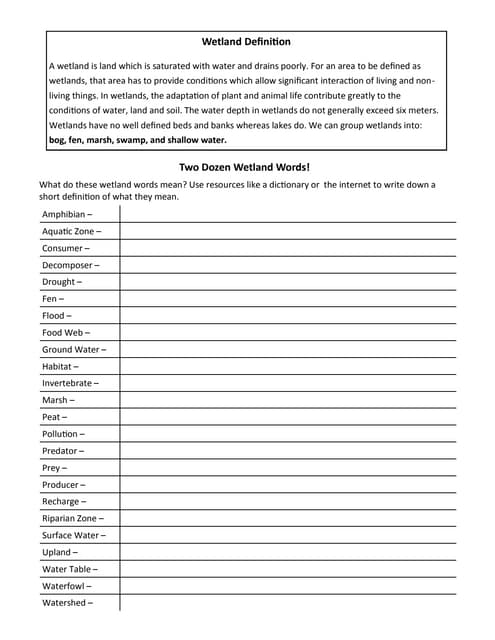 wetlands food chain & food webs | PPTX | Pets